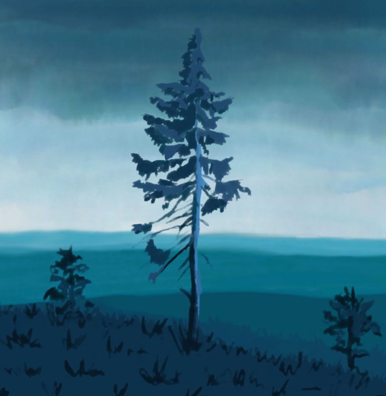 Old Tjikko – Distant Shore Publishing